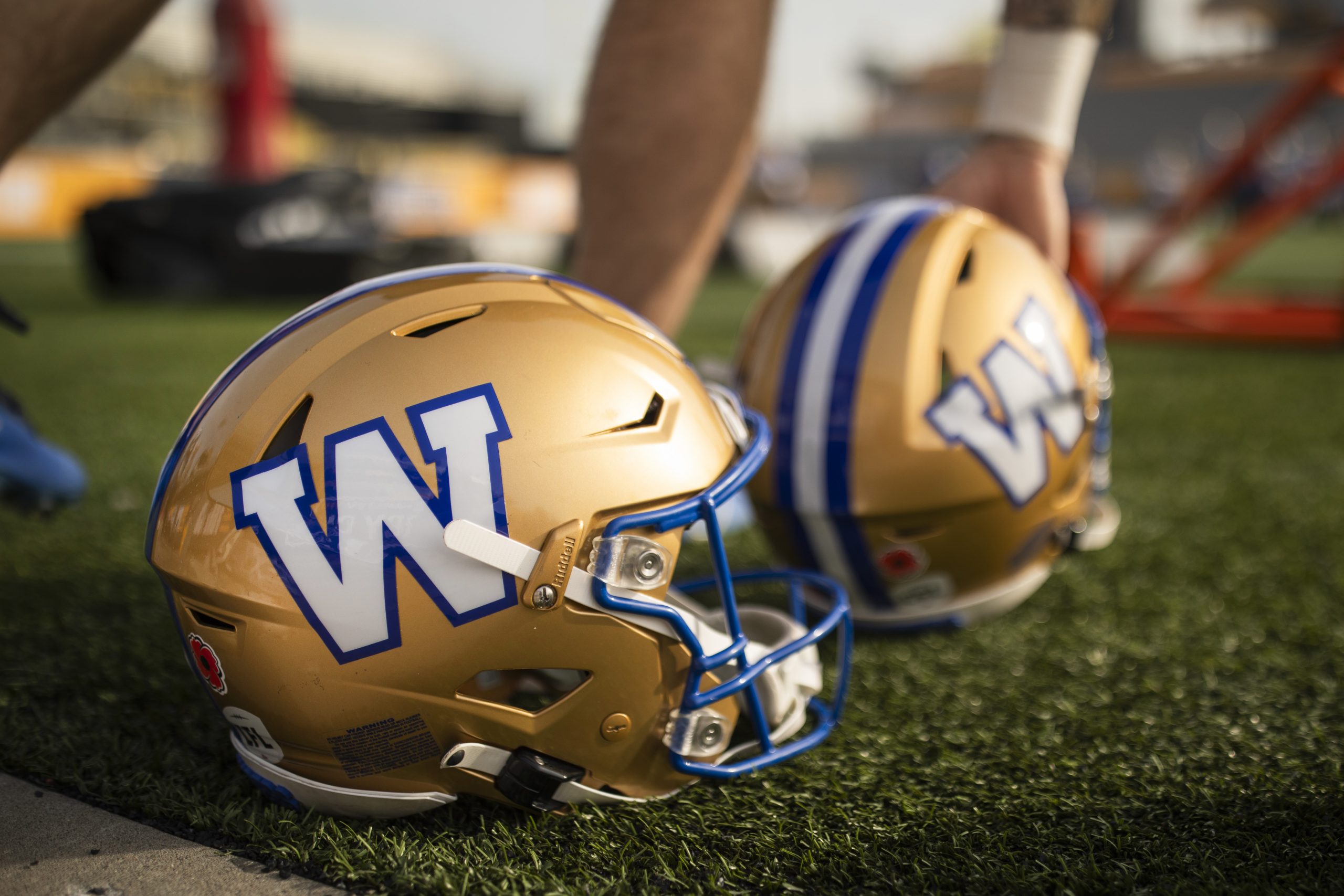 Winnipeg Blue Bombers look to snap their losing ways