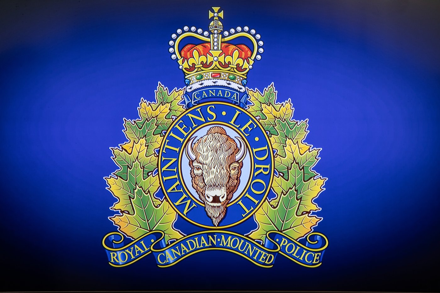 Three airlifted to Winnipeg after bus crash are being released, health ...
