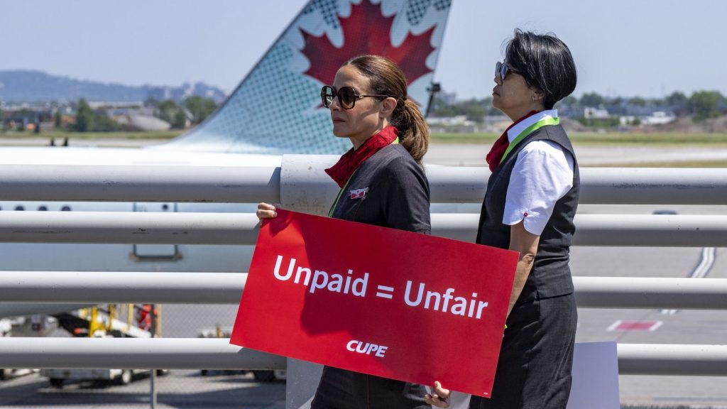 Winnipeg Humane Society in search of forever homes after taking in ...