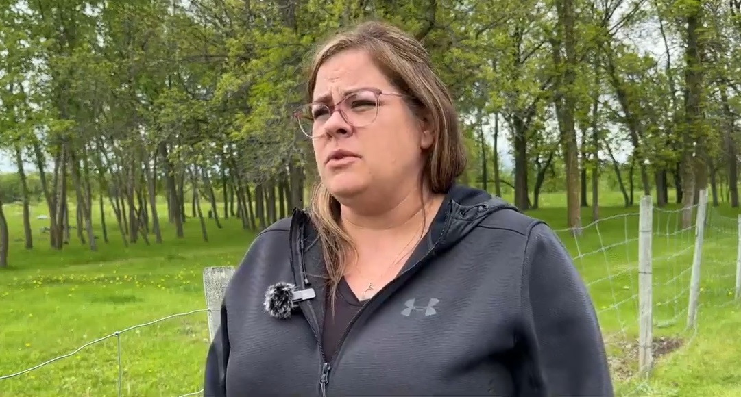 Allegations of neglect at Manitoba animal sanctuary