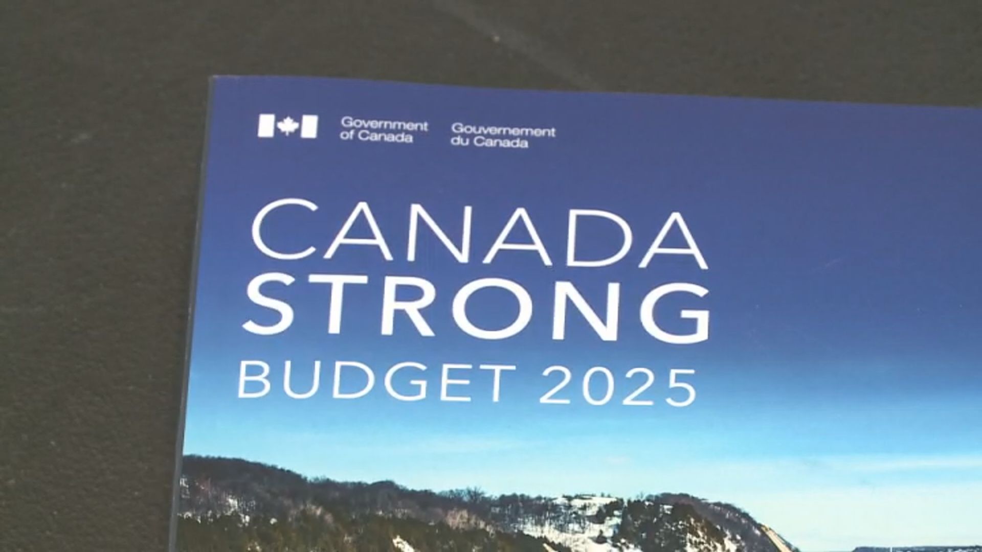 Winnipeg mayor reacts to federal budget - CityNews Winnipeg