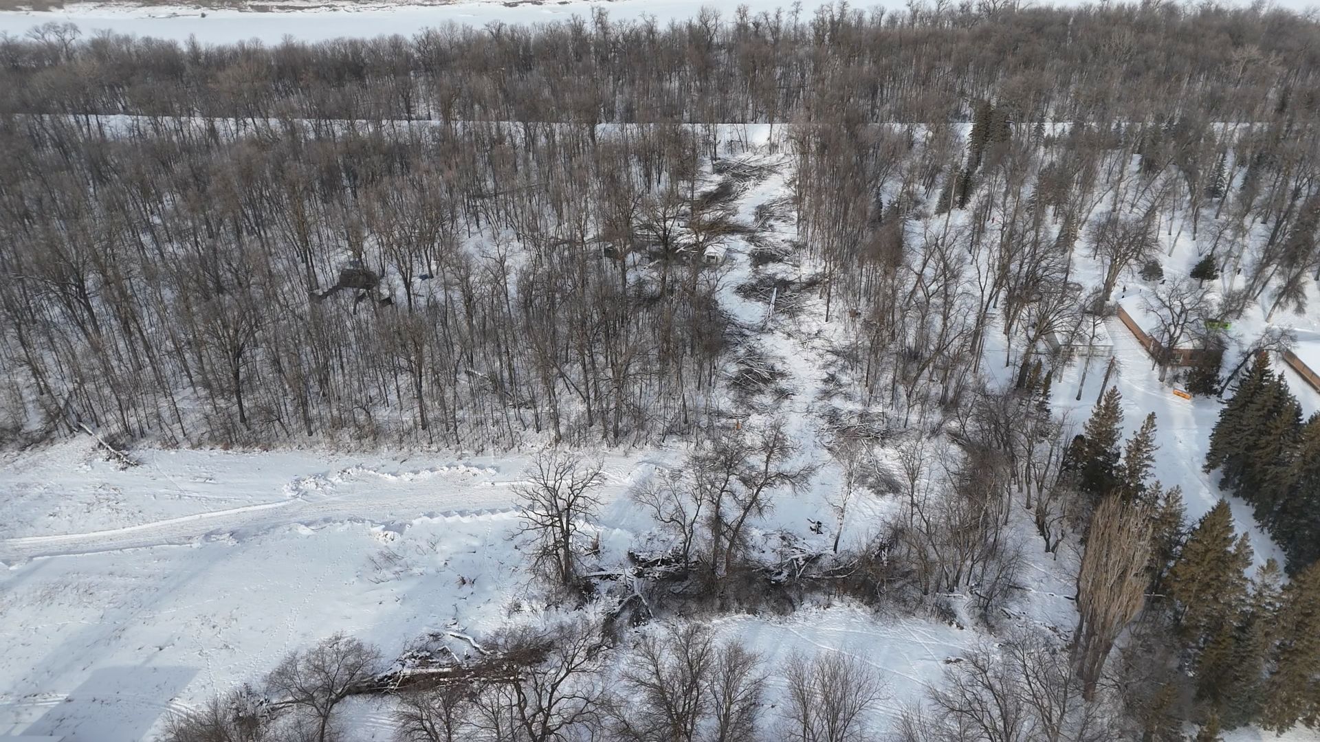 Heritage groups concerned over deforestation, development of Lemay Forest