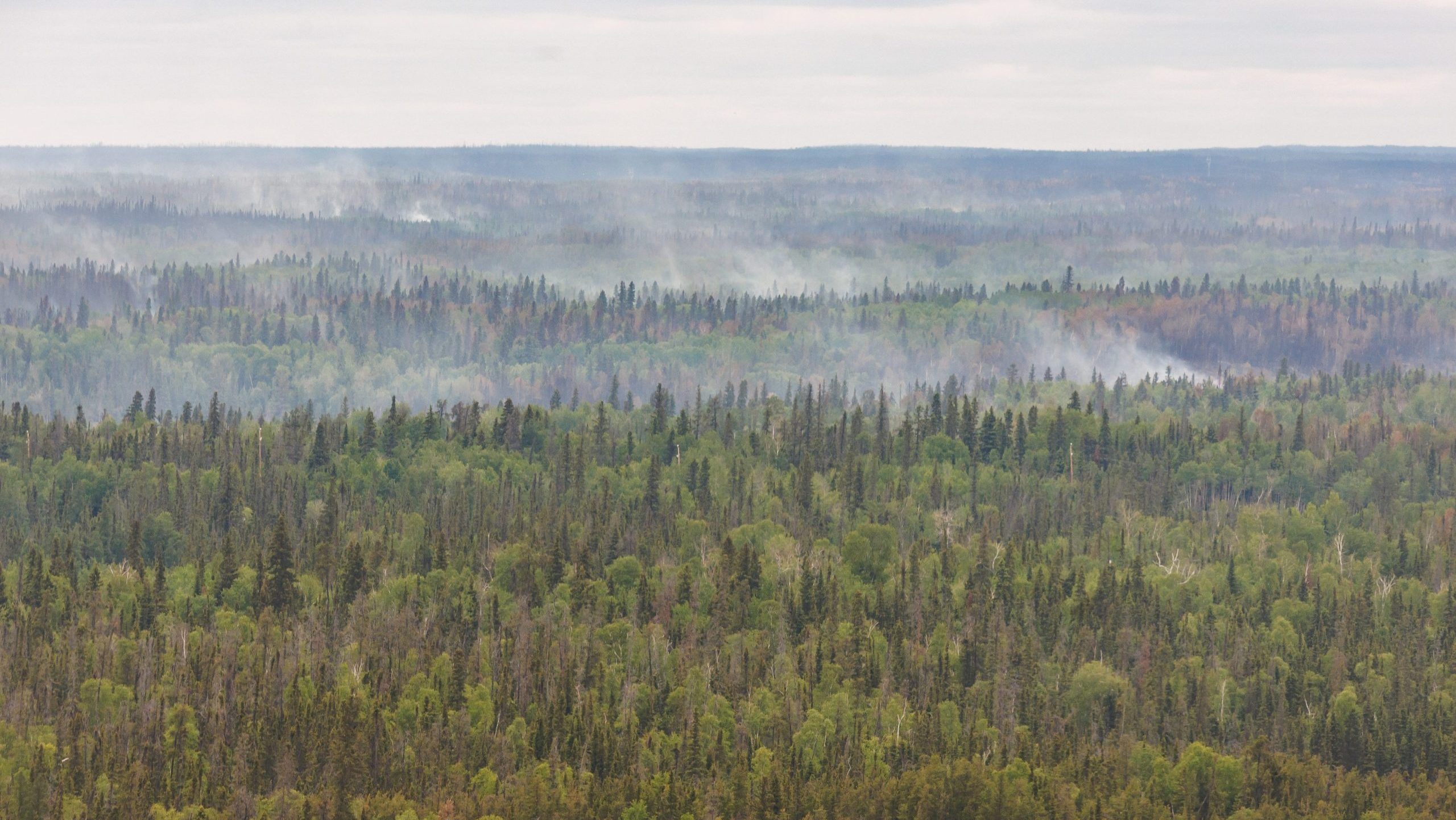 Northern Manitoba town of Leaf Rapids issues evacuation order due to ...