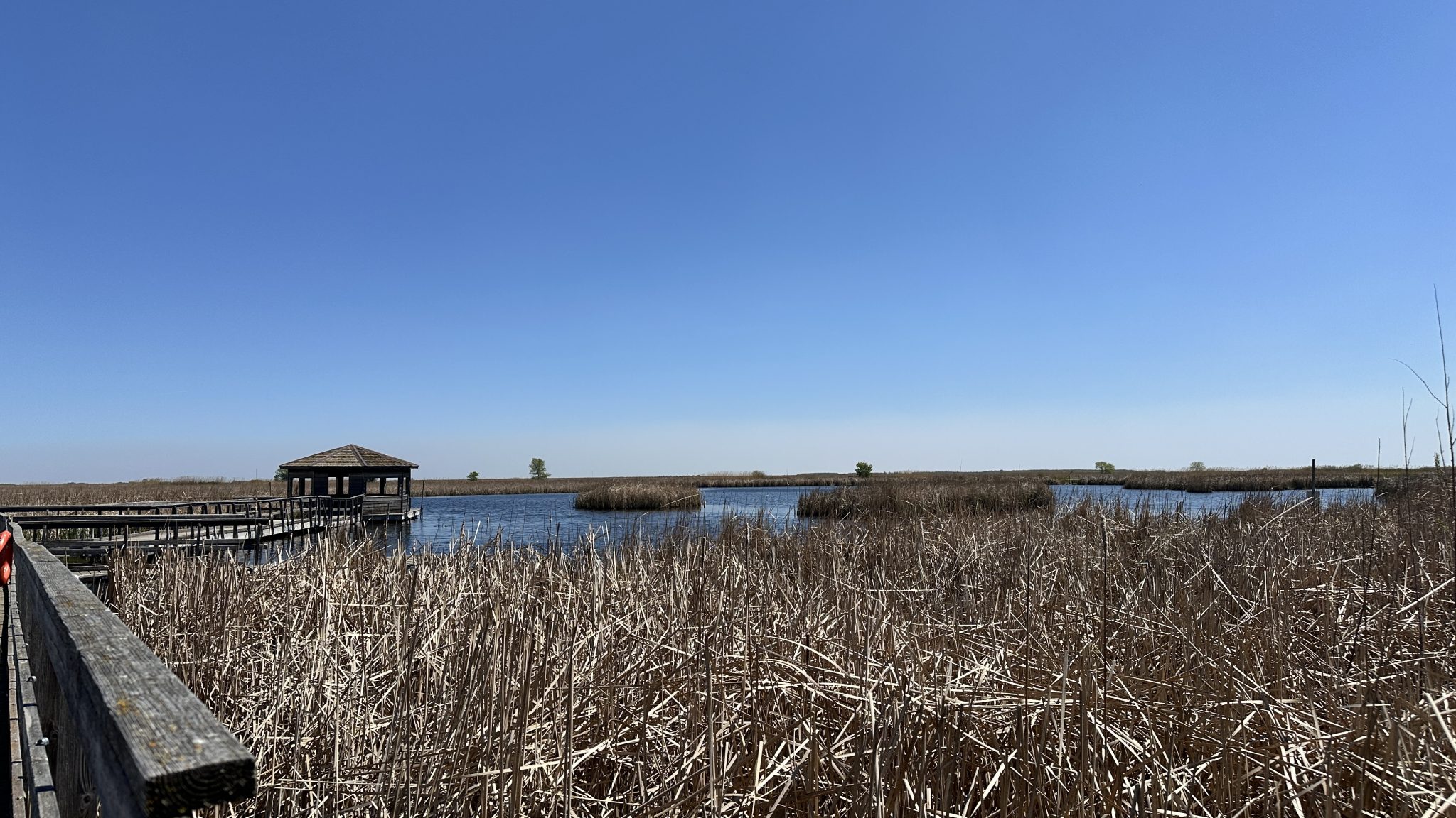 Oak Hammock Marsh’s Wetland Discovery Centre reopening after 18 months