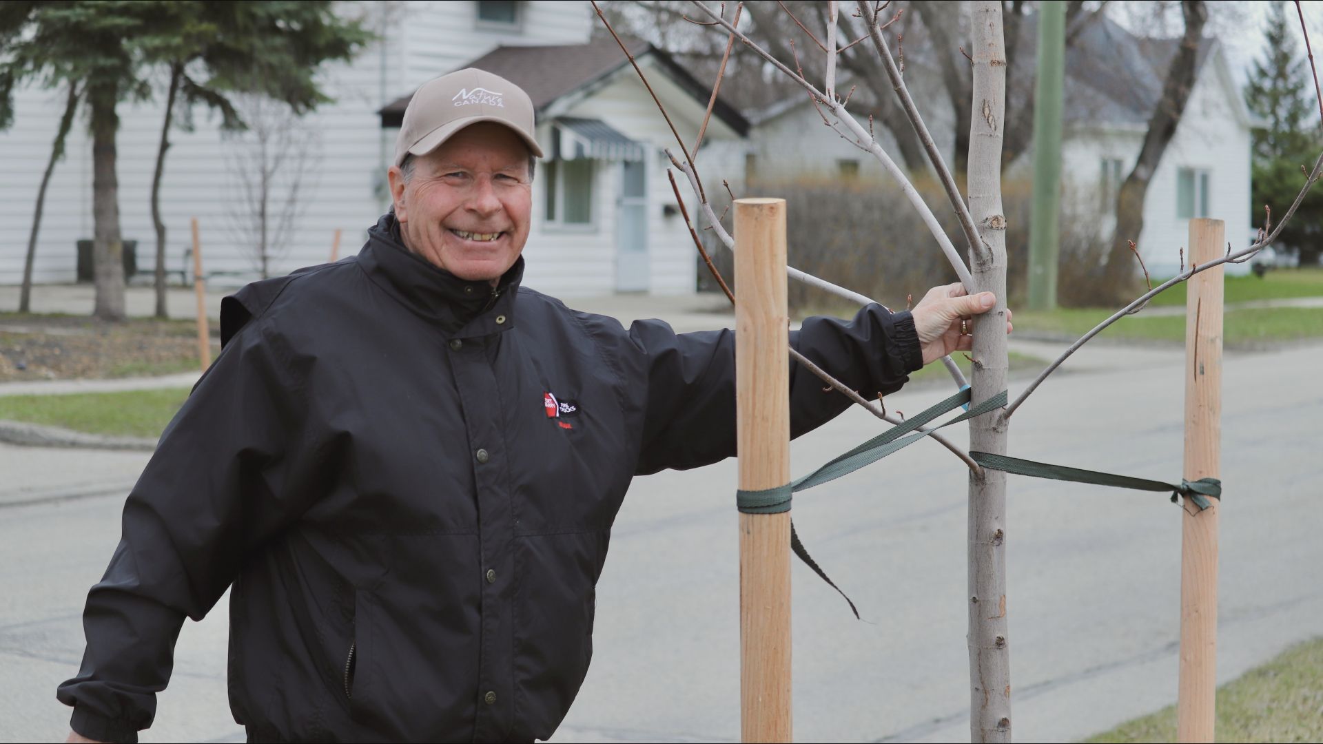 Selkirk embarks on large scale tree planting project to combat climate ...