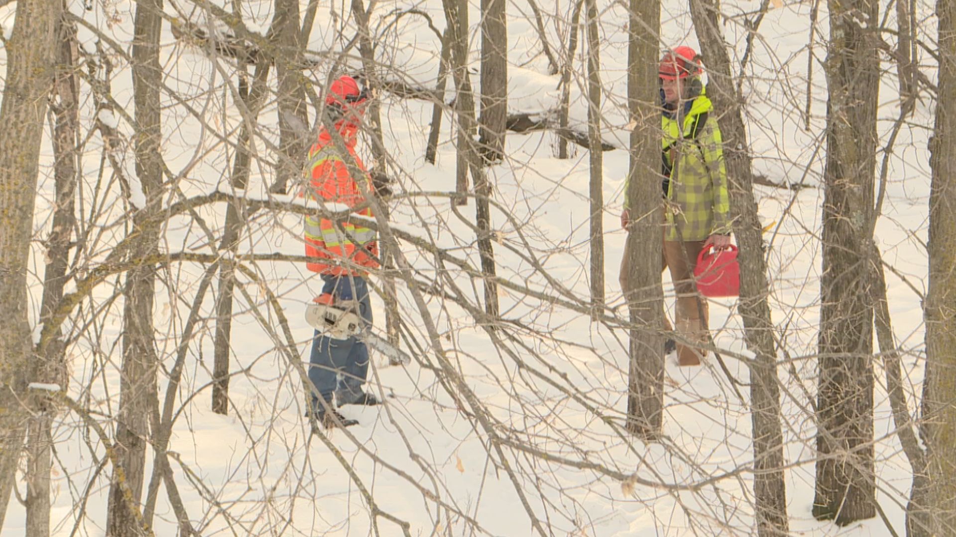 Standoff persists between land developer & demonstrators striving to ...