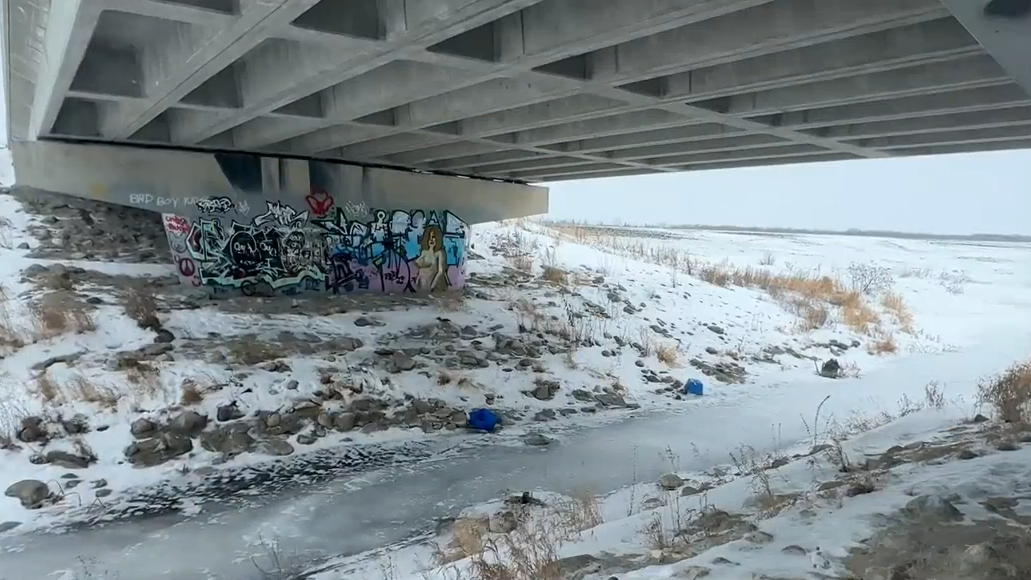 'Absolutely reprehensible': Winnipeg man lured, killed cats before ...