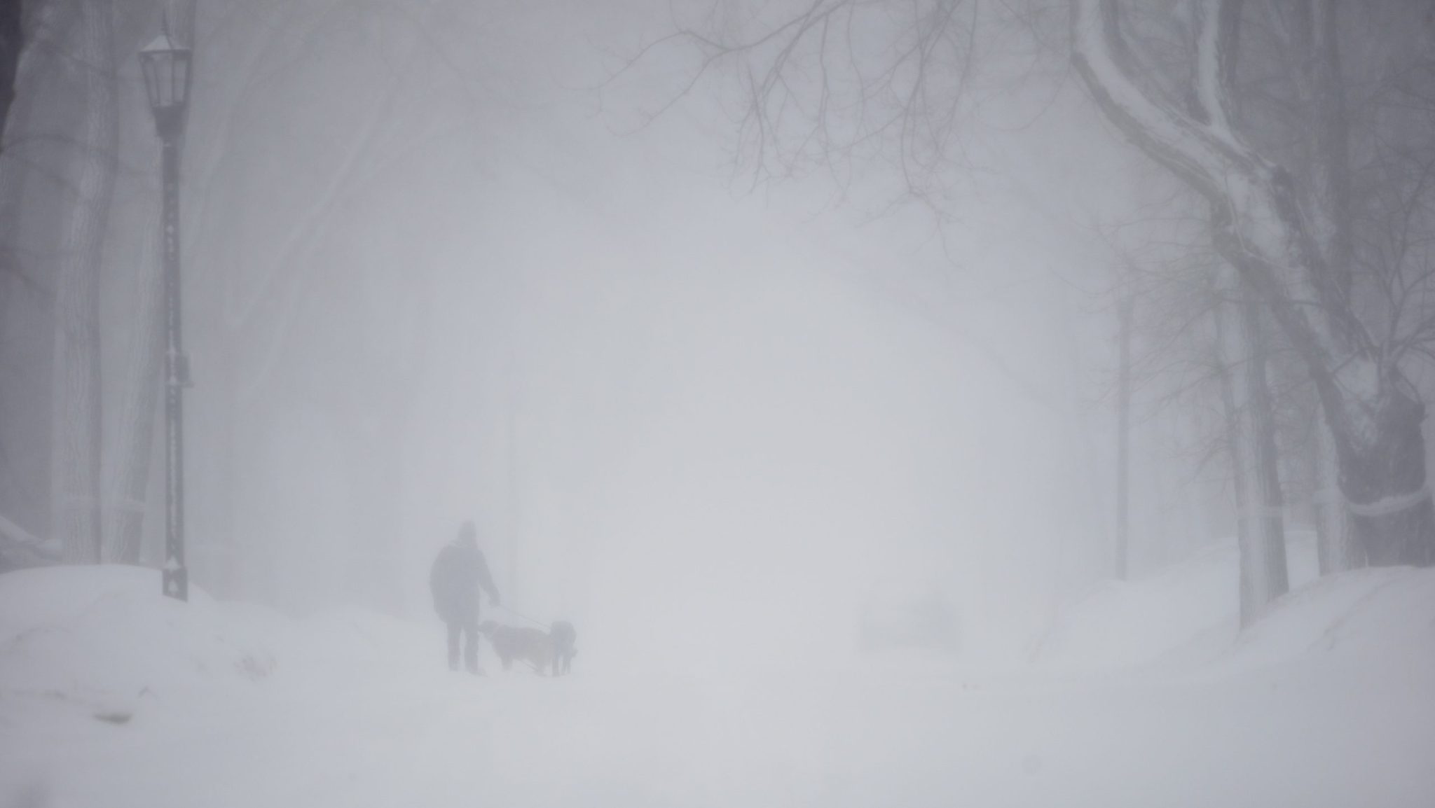 Winnipeg weather: blizzard conditions with gusty winds