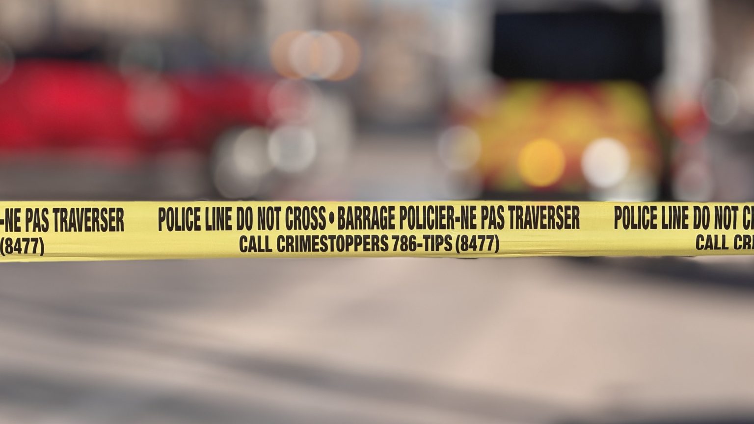 Winnipeg police seeking assistance following fatal rollover collision ...