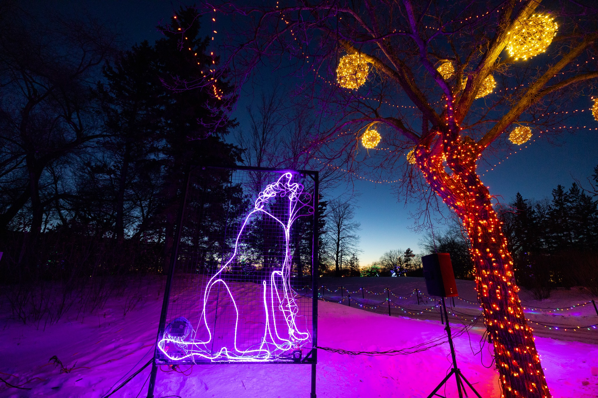 Zoo Lights returns to light up winter season at Winnipeg's Assiniboine ...