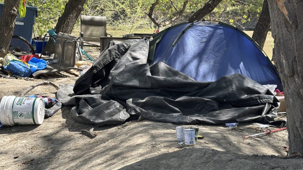 Download bokep ngocok memek