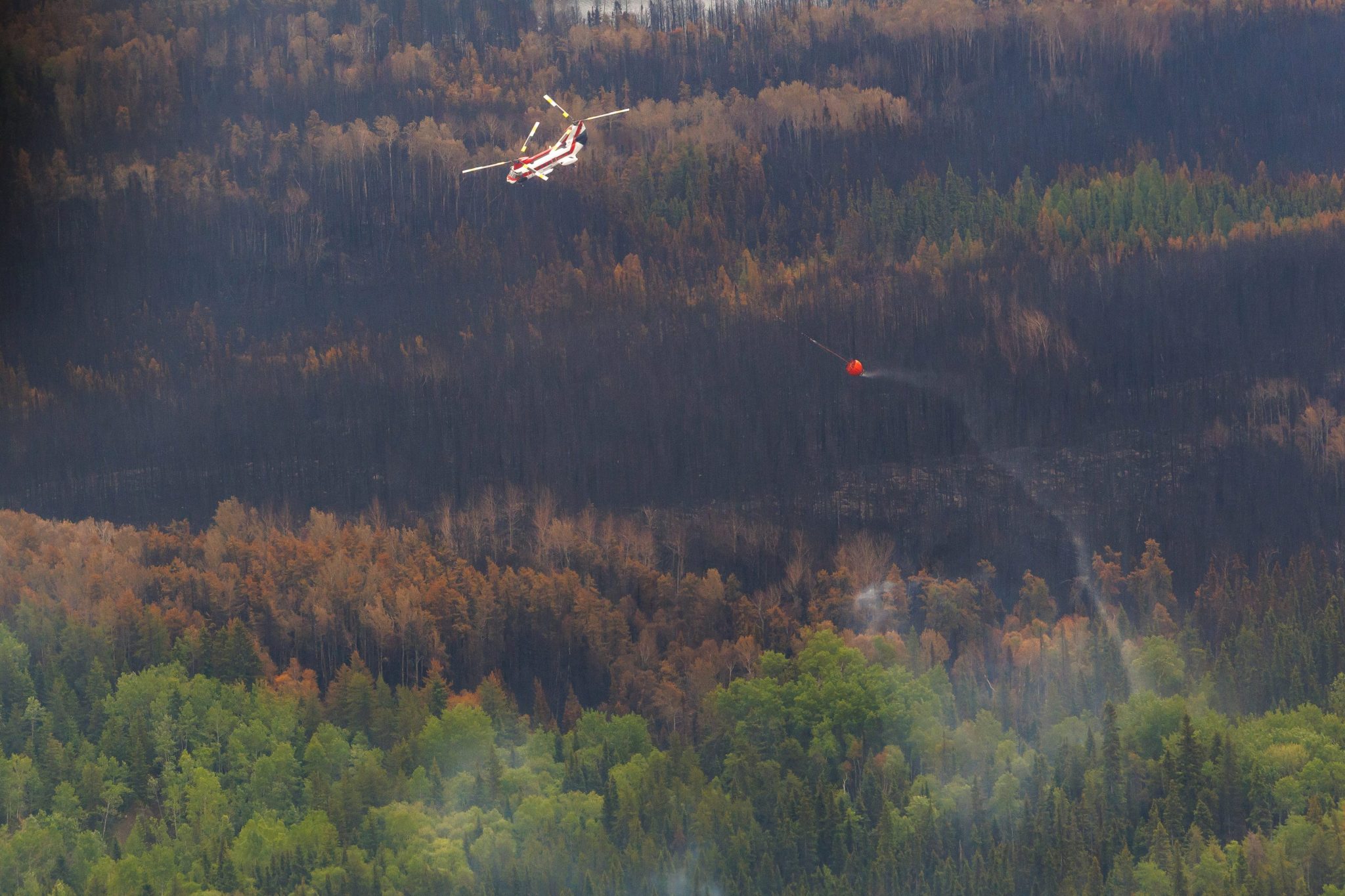Northern Manitoba town orders evacuation as wildfire threatens power