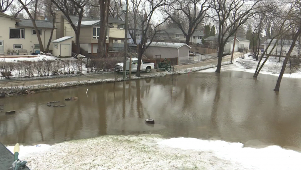 Manitoba flood: Winnipeggers deal with flooded basements as rainfall ...